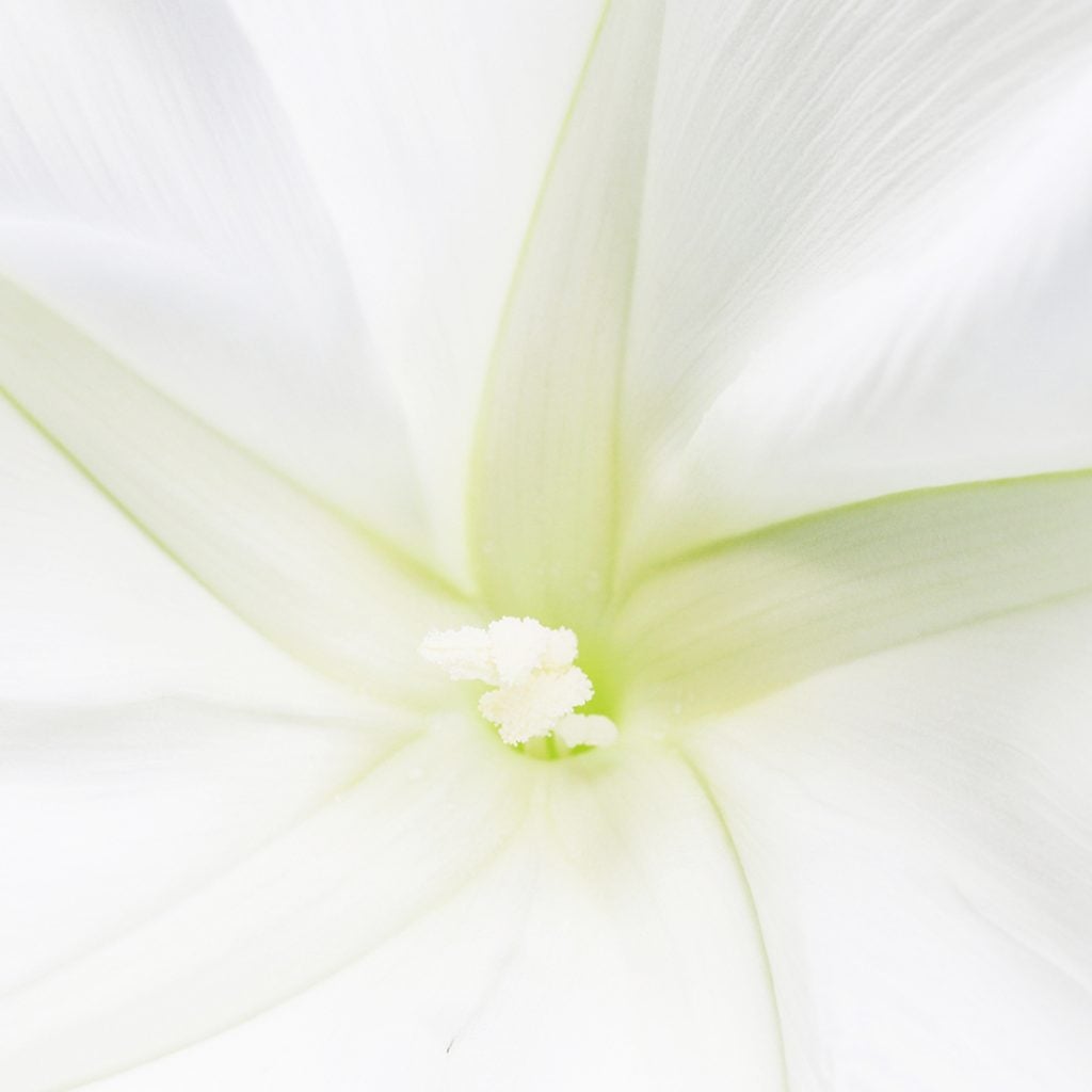 STENDHAL PARIS - CAPITAL BEAUTÉ | Luxury Perfume - Niche Perfume Shop ...