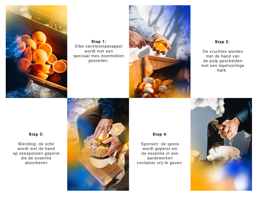 Acqua Di Parma presenteert zijn nieuwe geur: Blu Mediterraneo Arancia ...